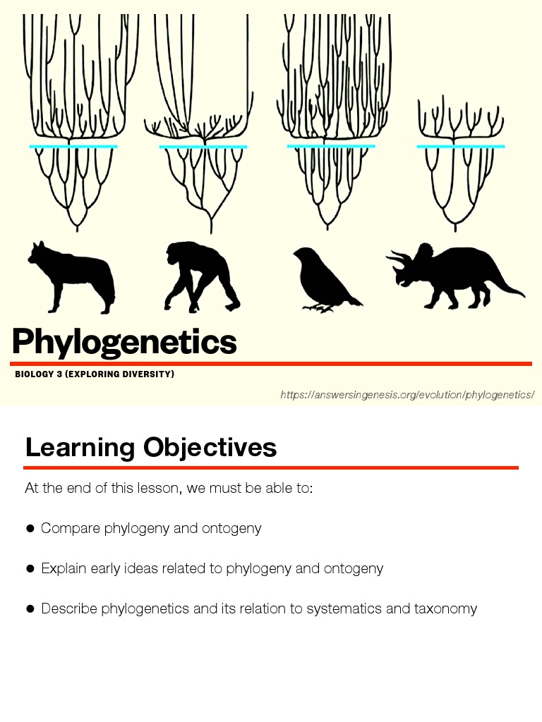 Phylogenetics (Overview) | PDF | Phylogenetics | Phylogenetic Tree