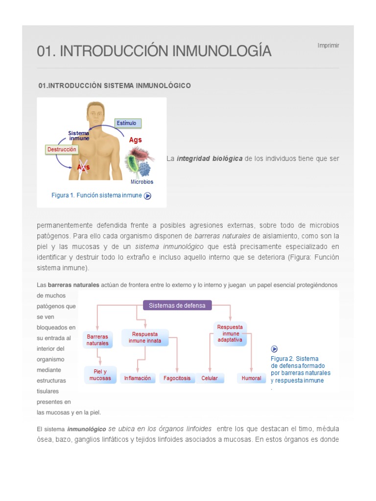 Introducción Inmunología | PDF | Sistema inmune | Sistema inmune innato