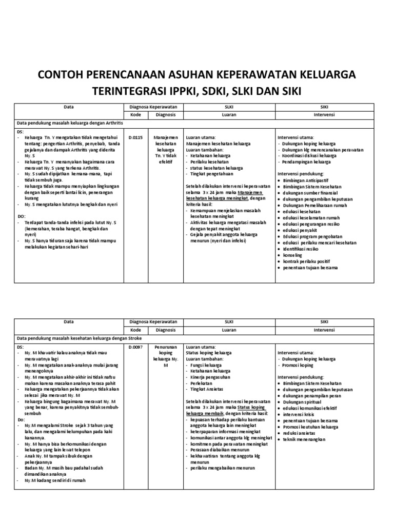 Contoh 3S Perencanaan Asuhan Keperawatan Keluarga Terintegrasi Ippki | PDF