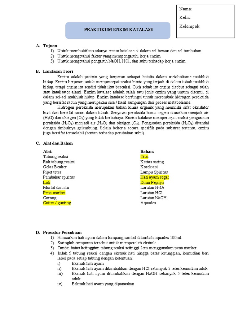 Praktikum Enzim Katalase | PDF