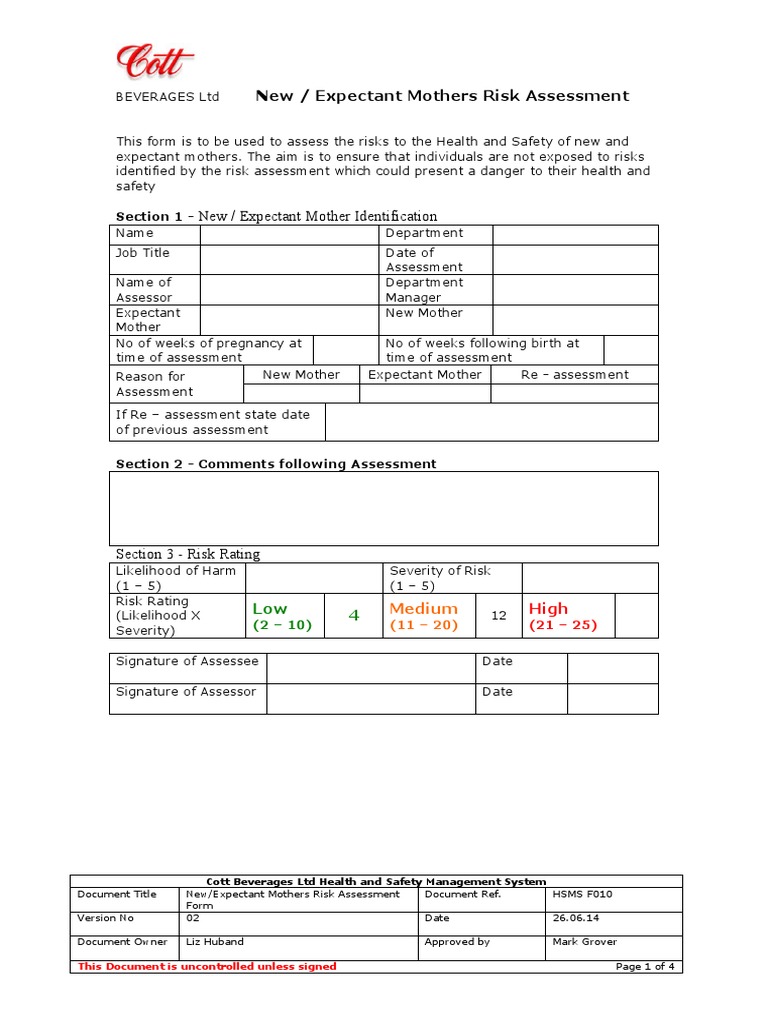 Expectant Mothers Risk Assessment | PDF | Risk | Occupational Safety ...