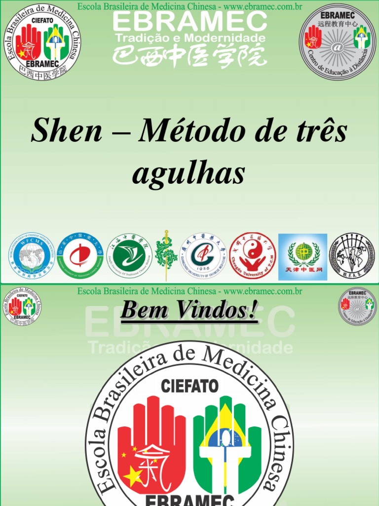 Fabio Fonseca e Leandro Galvão Shen Método de Três Agulhas | PDF | Pé ...