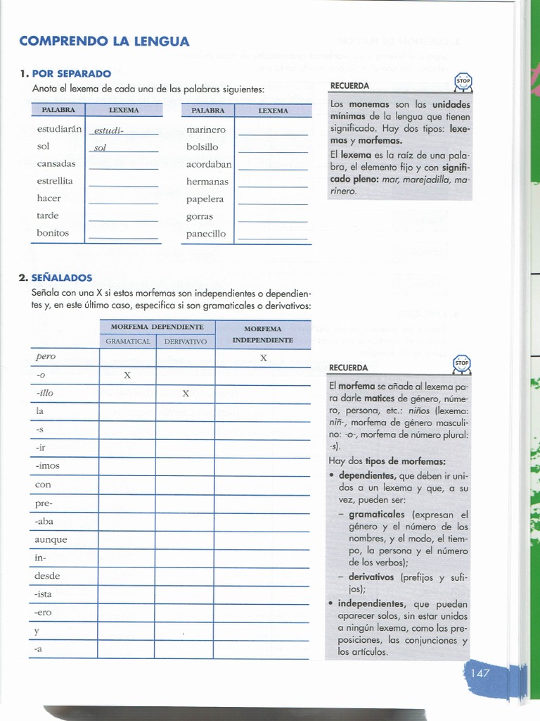 Lexemas y Morfemas | PDF