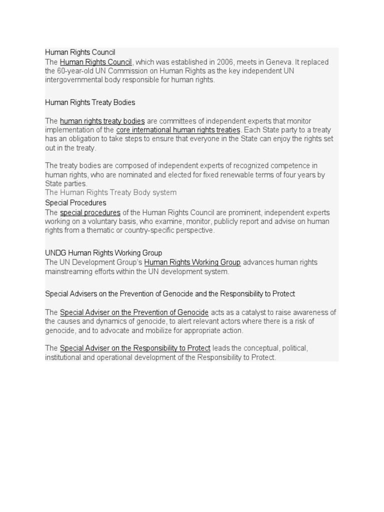 Human Rights Council | PDF