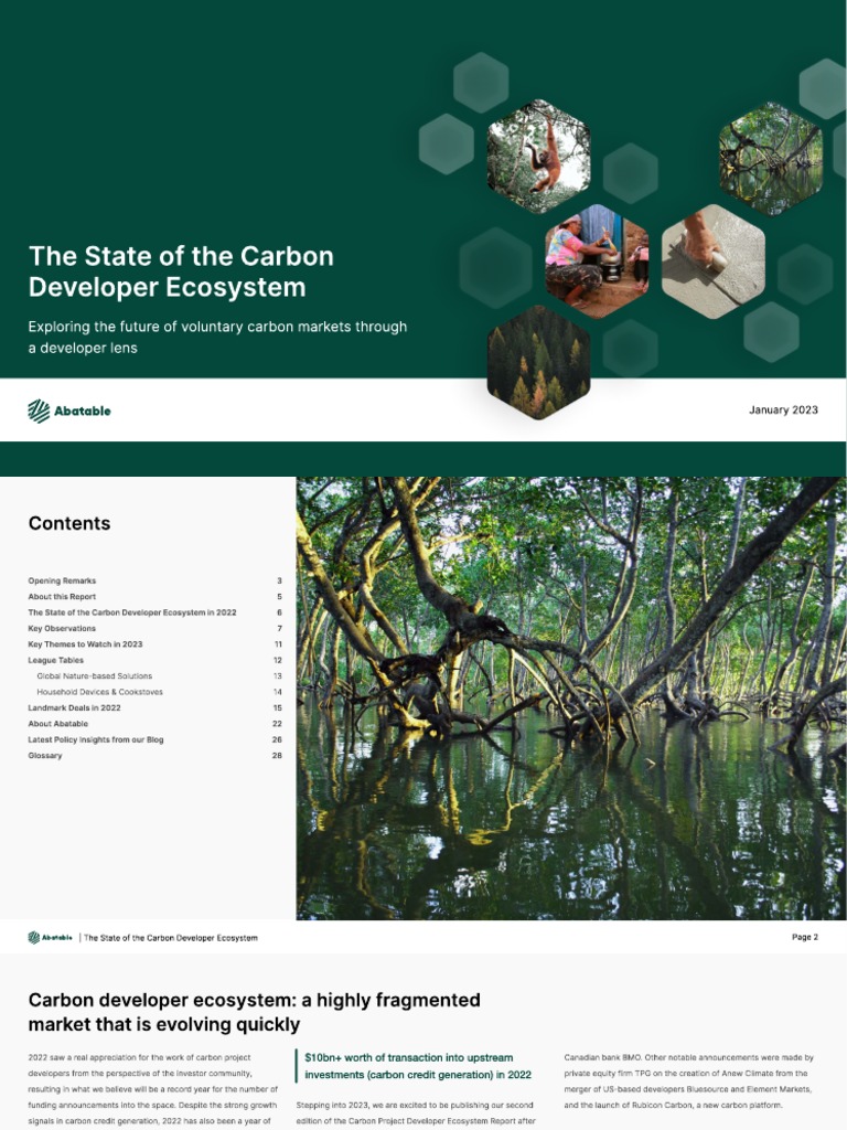 Abatable Carbon Developer Ecosystem Report - January 2023 | PDF