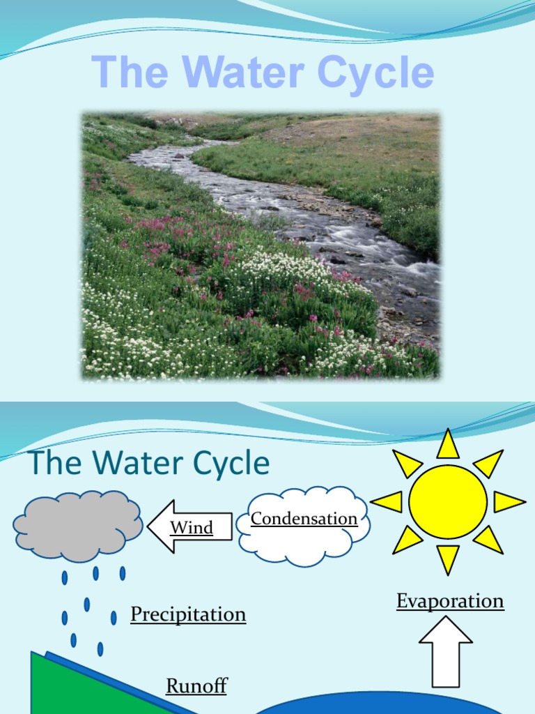 Water Cycle Diagram Interactive Powerpoint | PDF