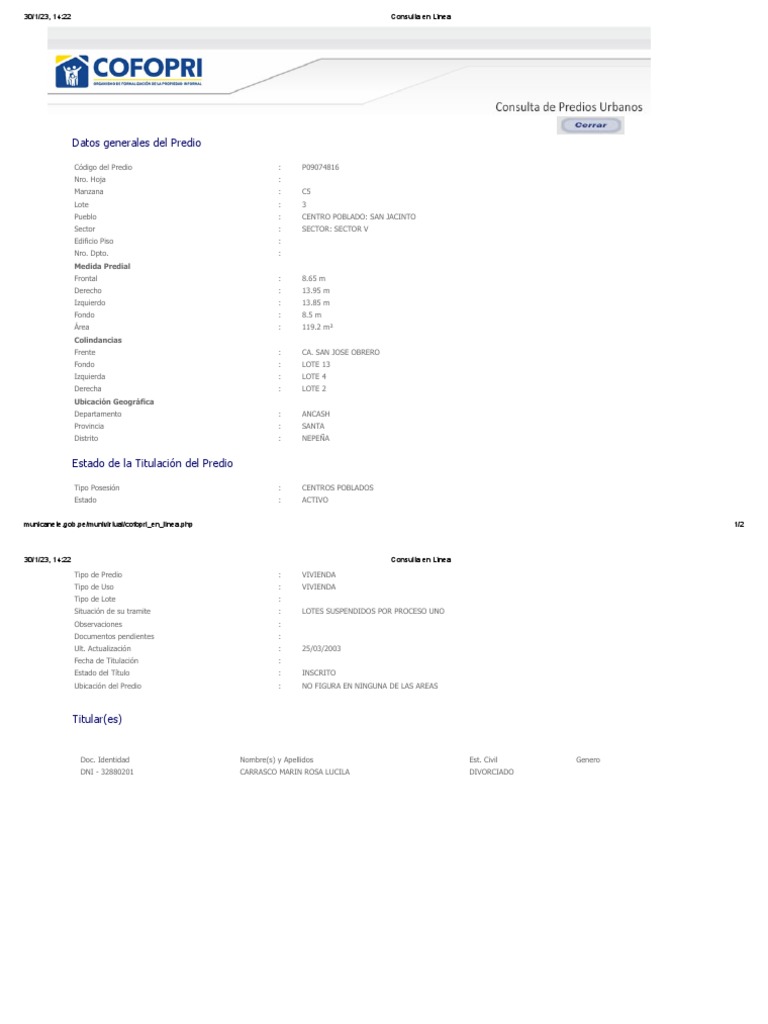 Consulta en Línea - COFOPRI - MPC | PDF | Control de acceso | Autenticación