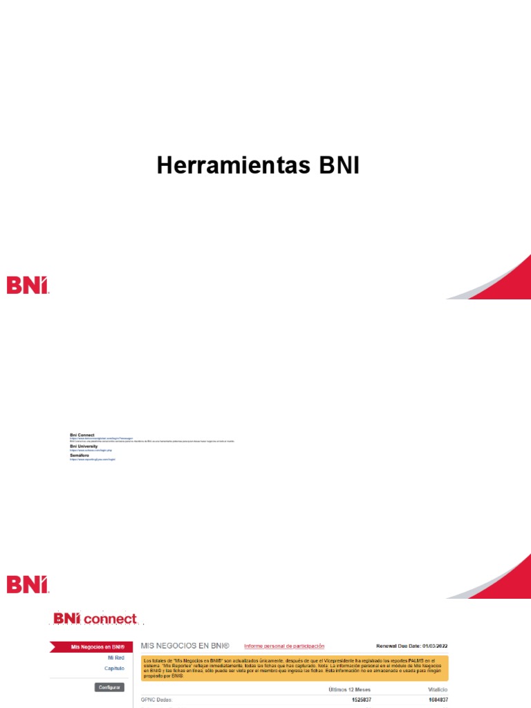 Bni Connet, Bni University, Semáforo | PDF