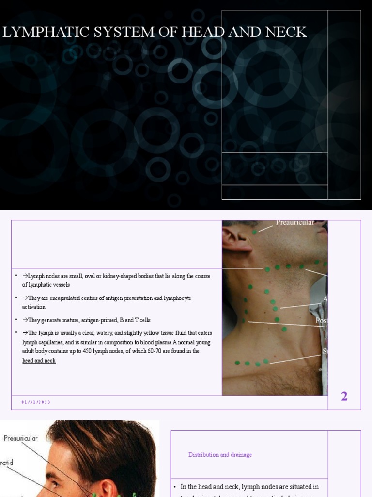 Lymph Nodes of Head and Neck | PDF | Neck | Lymphatic System