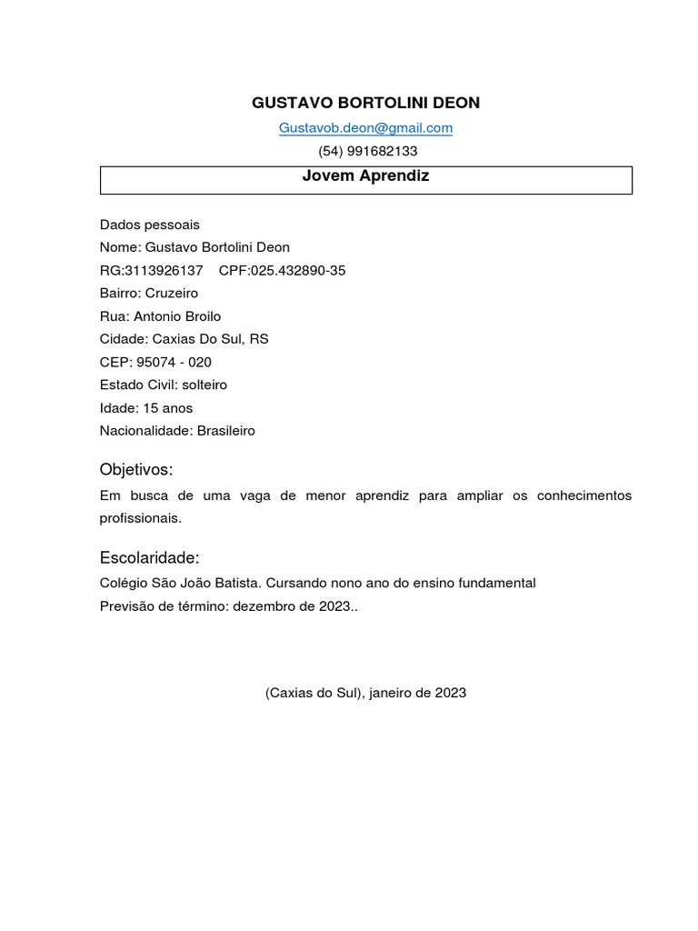 Gustavo Bortolini Deon | PDF