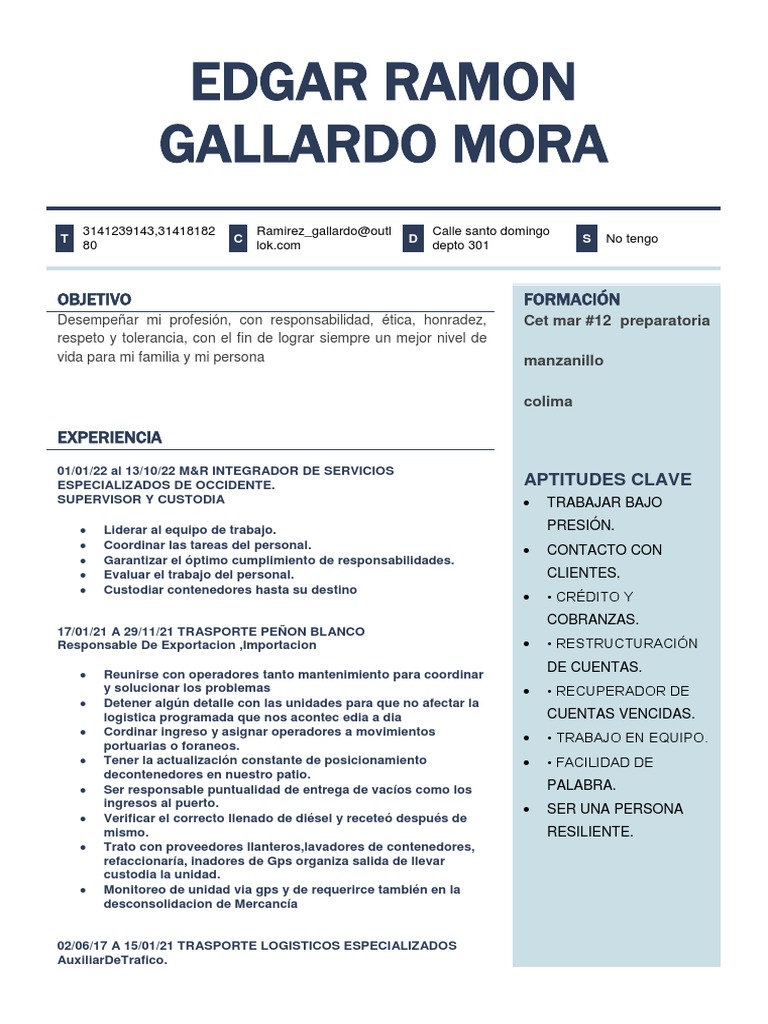 Edgar Ramon CV | PDF | Business