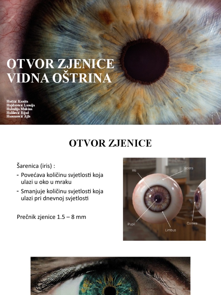 Otvor Zjenice Vidna Oštrina | PDF