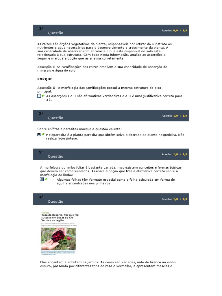 Espermatófitas Morfologia e Sistemática Simulado Av | PDF | Plantas | Semente