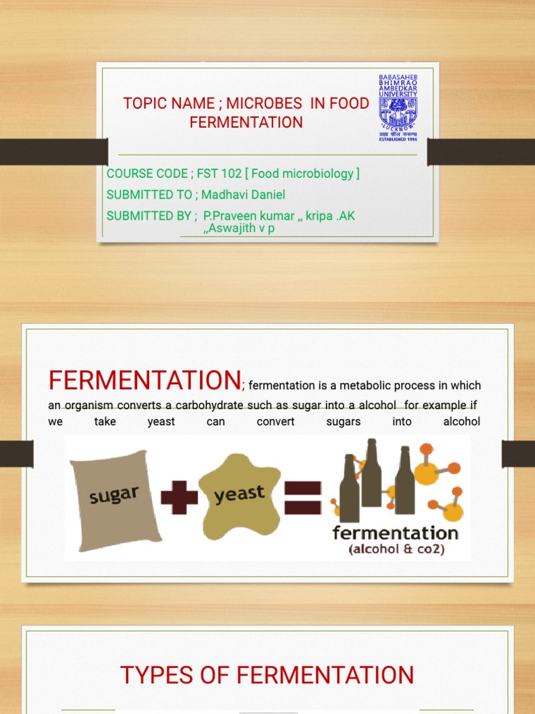 Microbes in Food Fermentation Guide | PDF | Fermentation | Bacteria