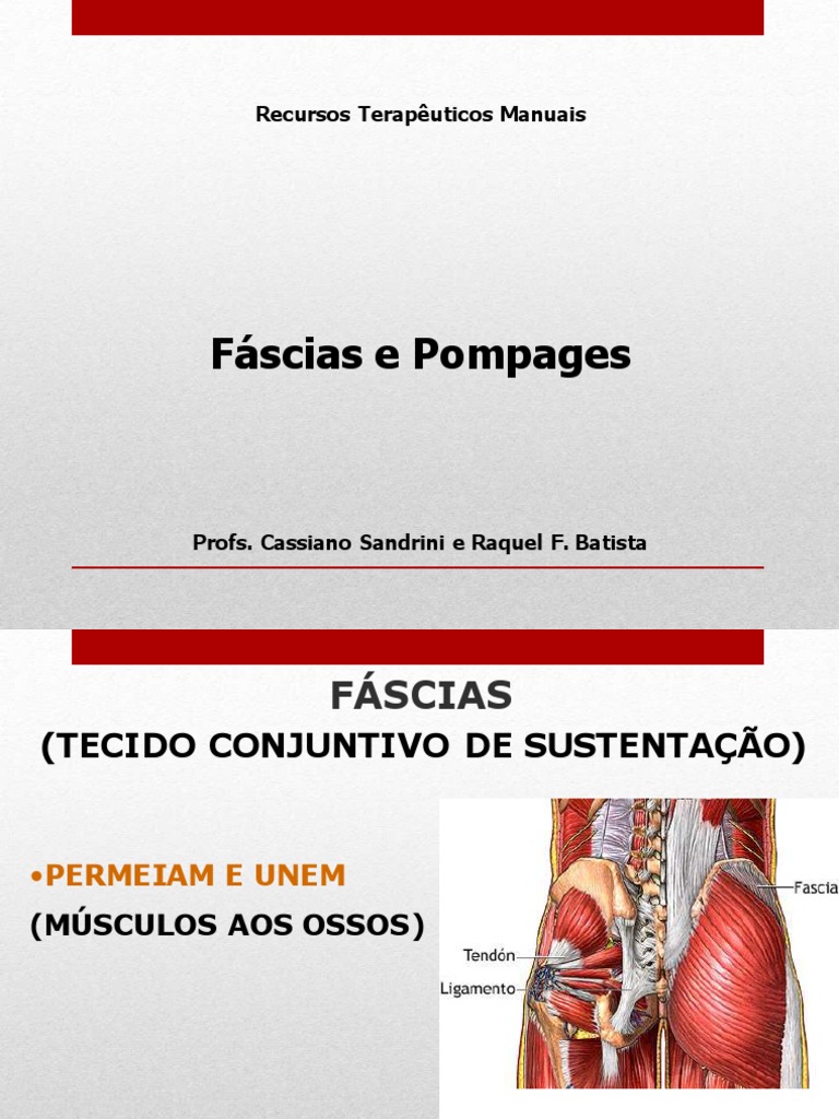 Fáscias e Pompages | PDF | Músculo esquelético | Tecido conjuntivo