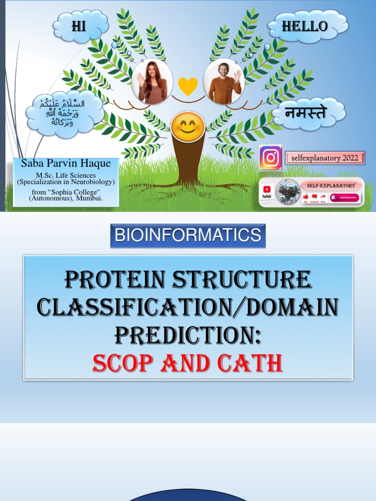 Protein Structure Classification/domain Prediction: SCOP and CATH (Bioinformatics) . | PDF ...