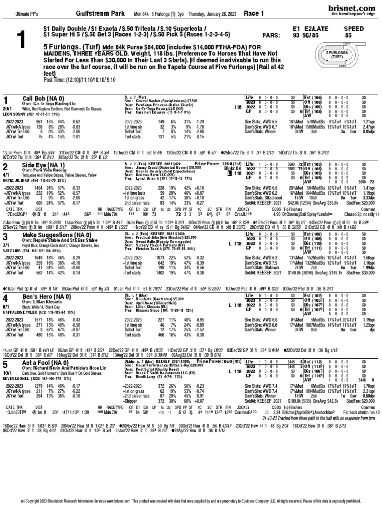 Old Race Form | PDF | Racehorses | Animal Racing