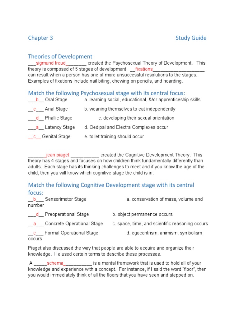 PSY 110c Study Guide Chapter 3 | PDF | Cognitive Development | Cognitive Science