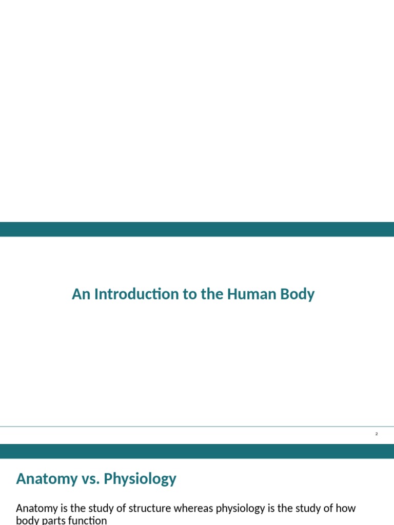 Chapter 1 Notes Part 1 Intro To The Human Body And Body Systems Tagged Pdf Human Body 