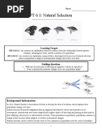 PHET Natural Selection Rabbit Lab Guide | PDF | Tooth | Rabbit