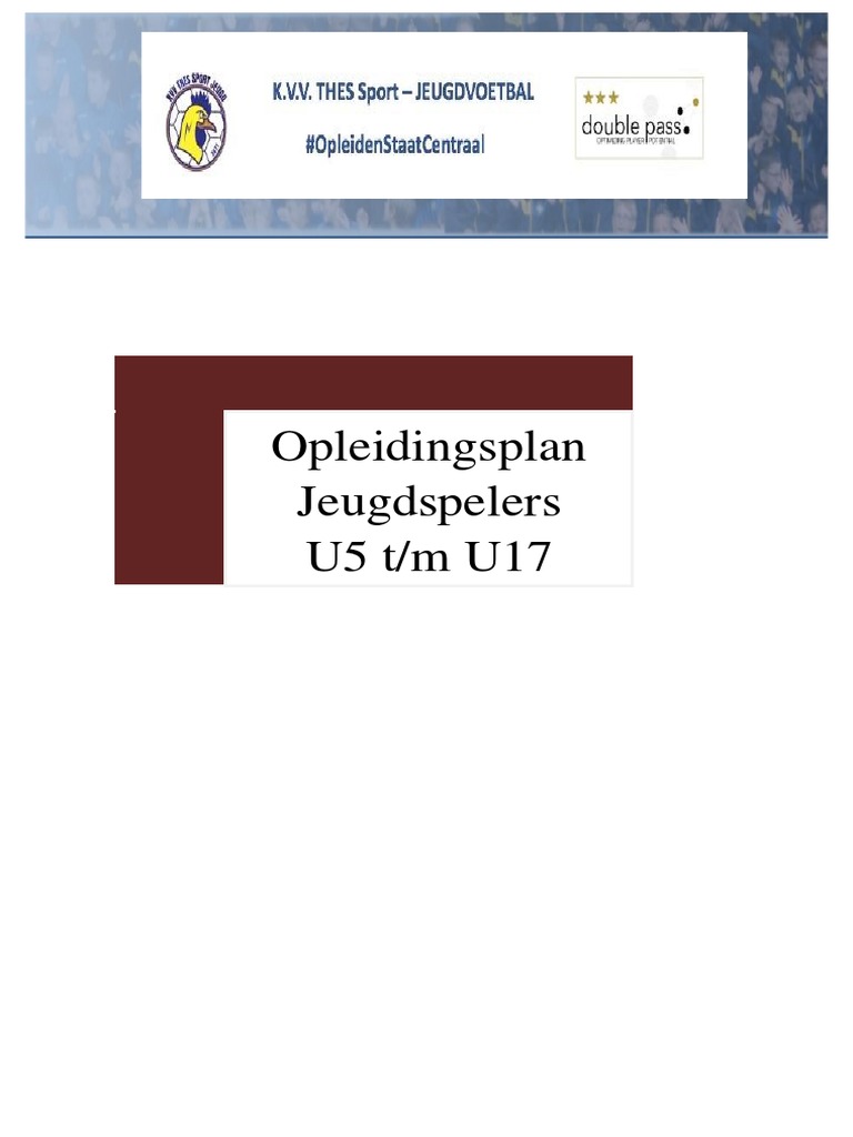 THES Opleidingsplan Samenvatting | PDF