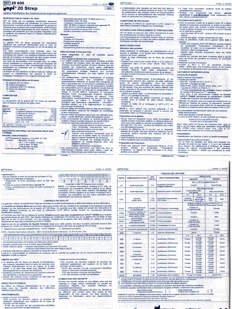 Manuel Api 20 Strep | PDF