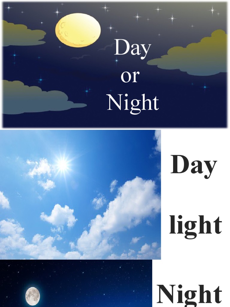 Day-or-night-opposites | PDF