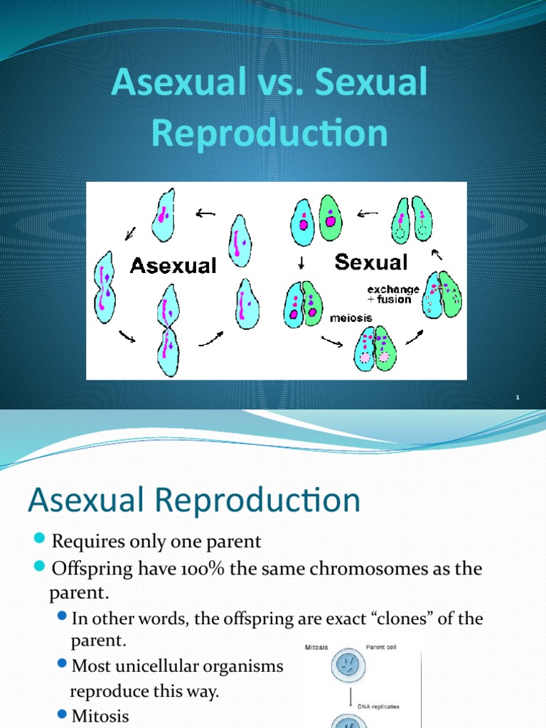 Asexual vs. Sexual Reproduction Overview | PDF | Sexual Reproduction ...