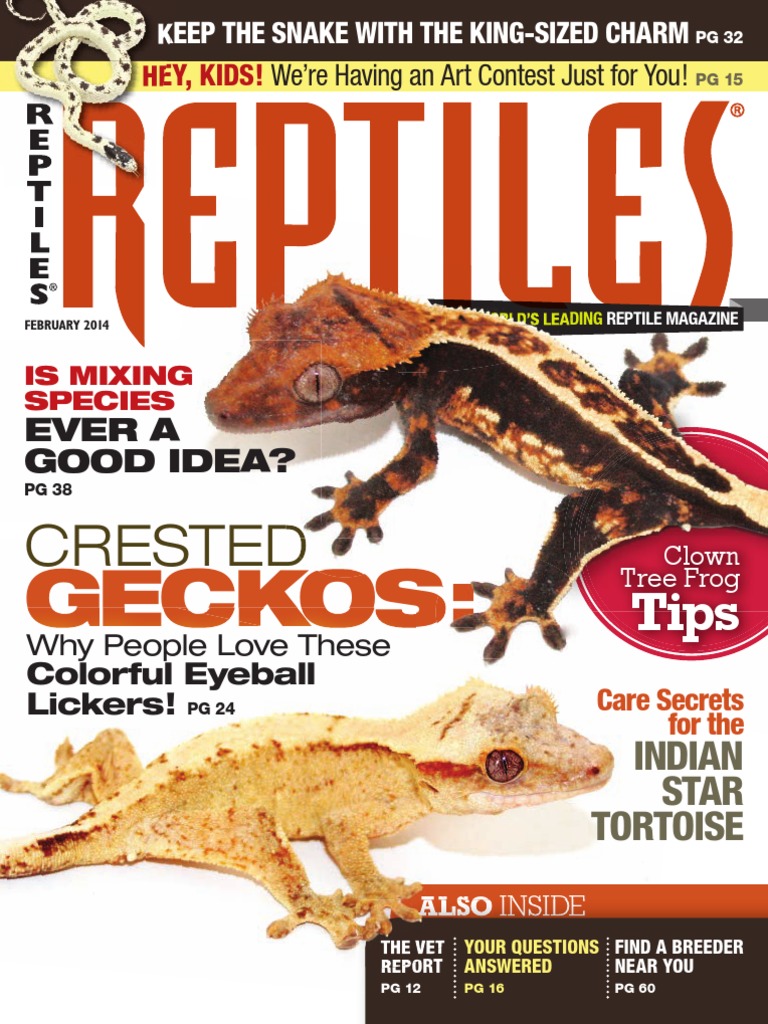 February 2014 | PDF | Reptile | Subscription Business Model