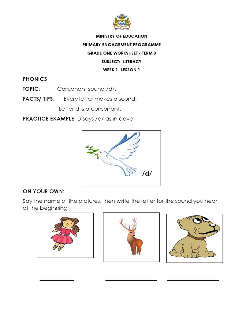 Grade 1 Literacy Weeks 1-6 Worksheets - Term 3 | Download Free PDF ...