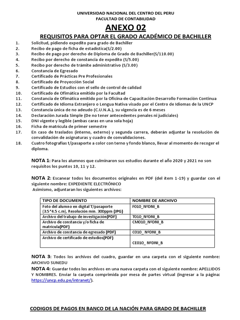 Anexo 02-Bachiller Actualizado | PDF