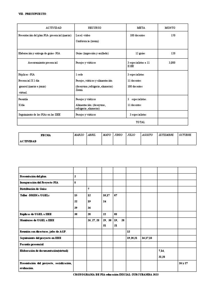 Cronograma Pia | PDF