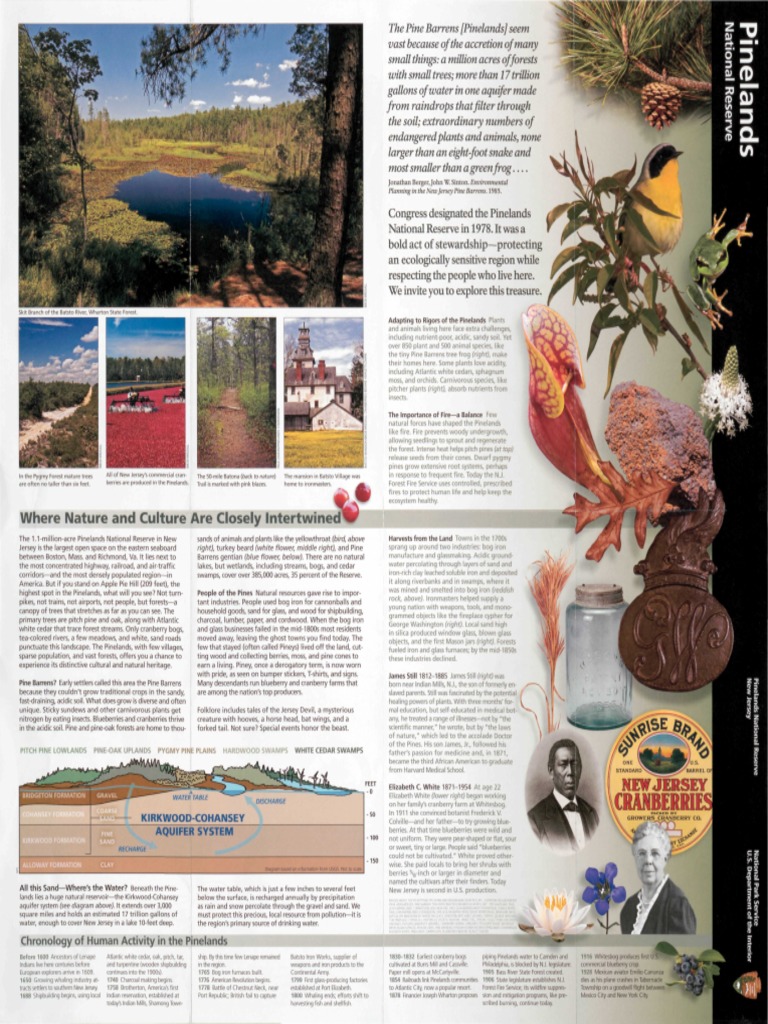 Pinelands National Reserve | PDF