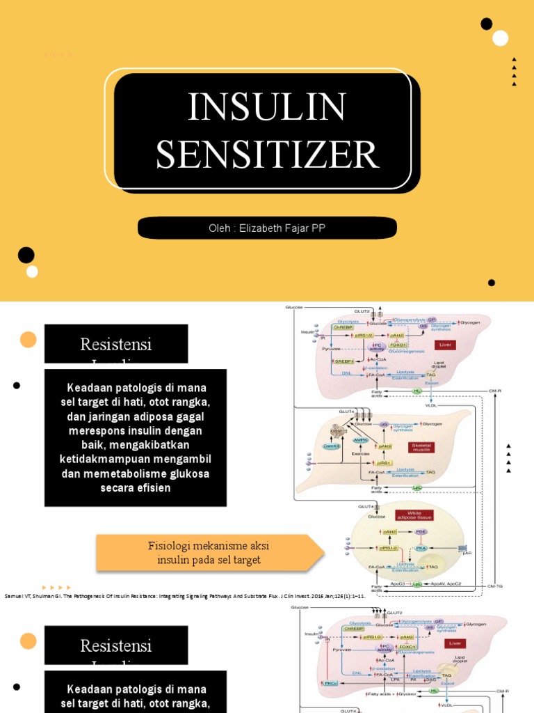 Insulin Sensitizer | PDF