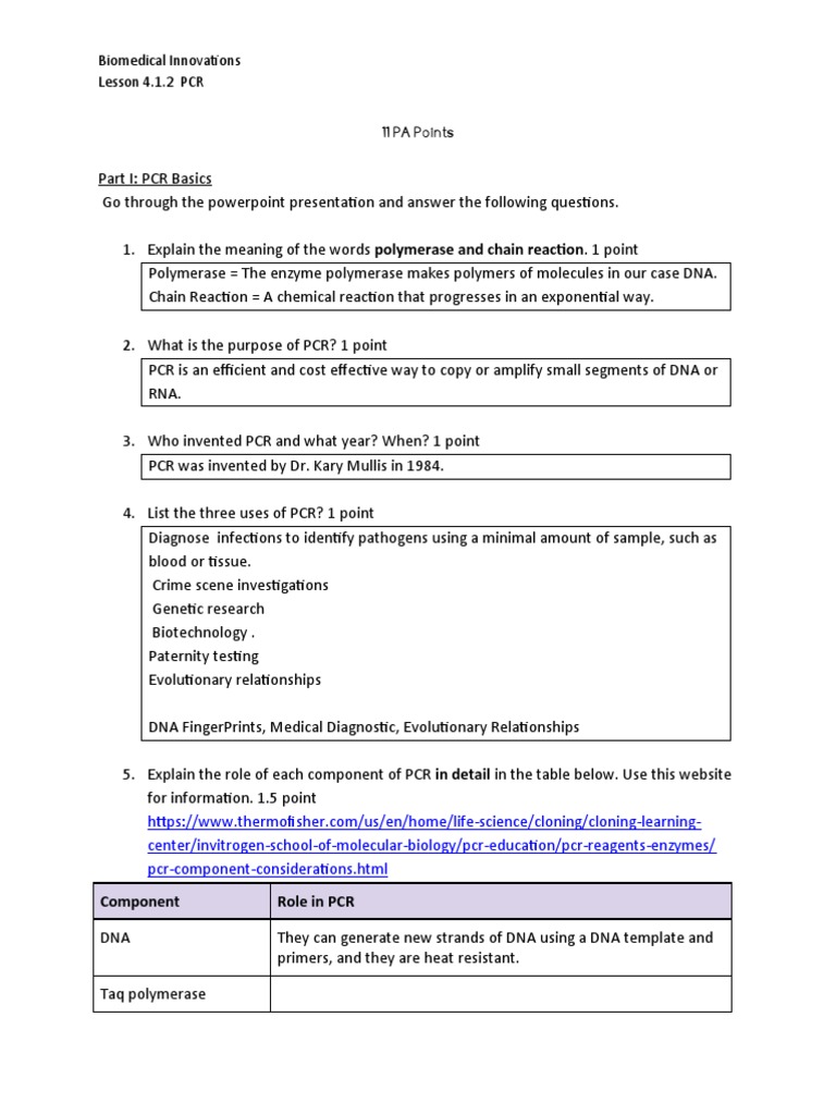 Activity 4.1.2 PCR Worksheet | PDF | Polymerase Chain Reaction | Dna