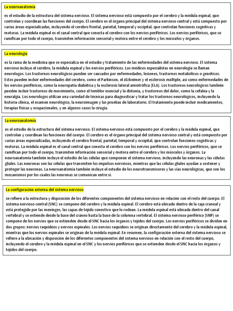 Neuro Ef 1 | PDF | Cerebro | Sistema nervioso central