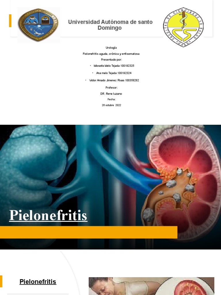 Pielonefritis | PDF | Epidemiología | Órgano (anatomía)