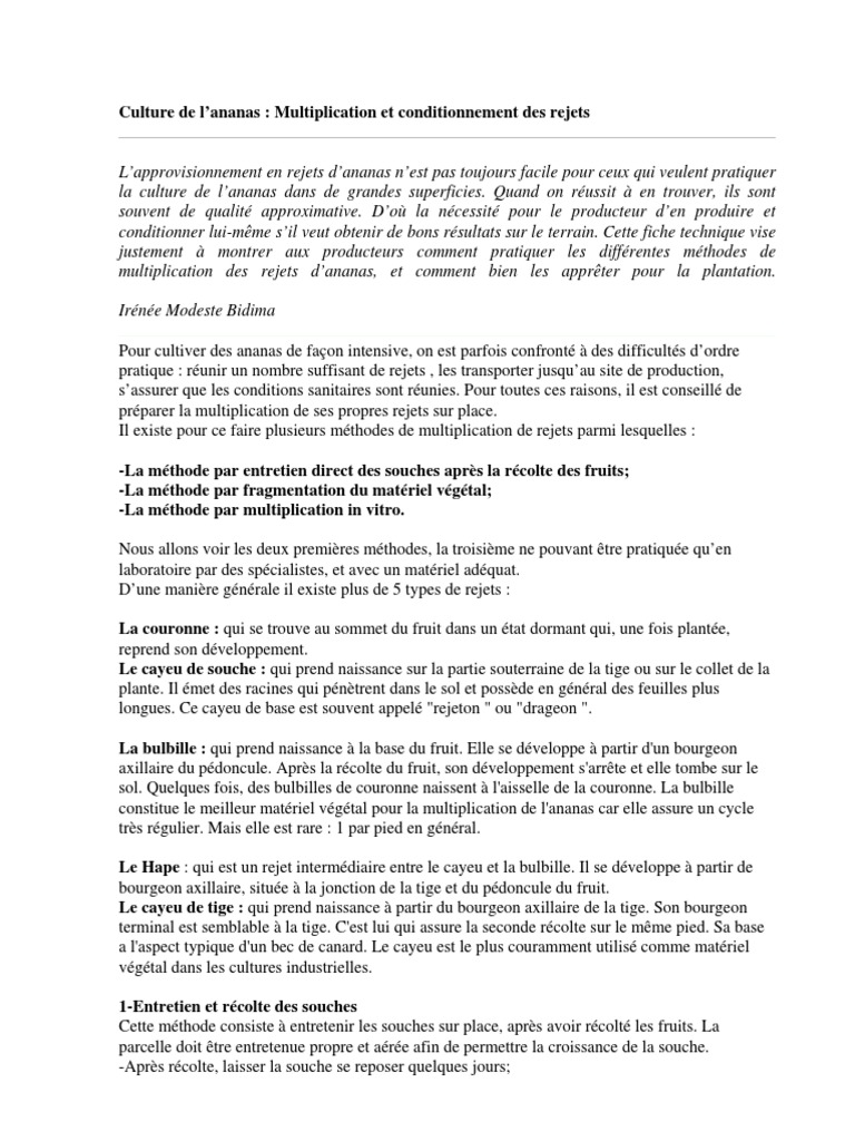 Multiplication des rejets d'ananas | PDF | Ananas | Tige (Plante)