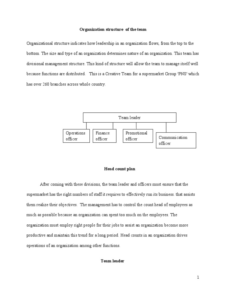 Organization Structure of The Team | PDF | Leadership | Organizational ...
