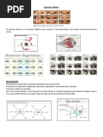 Test de la Mosca en Estereopsis Visual | PDF | Visión | Ligero