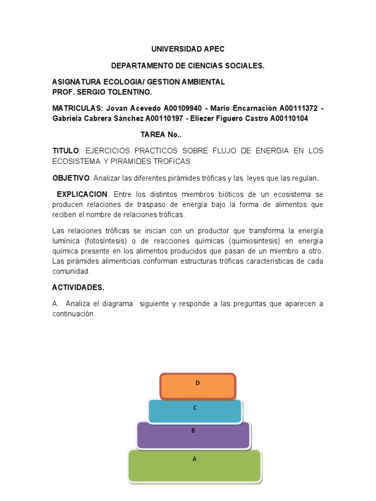 Flujo de Energía y Pirámides Tróficas | PDF | Biomasa (Ecología) | Ecología