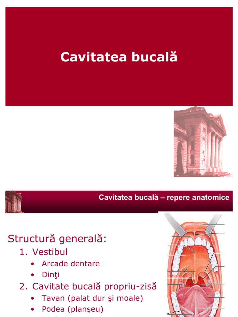 curs cavitate bucala