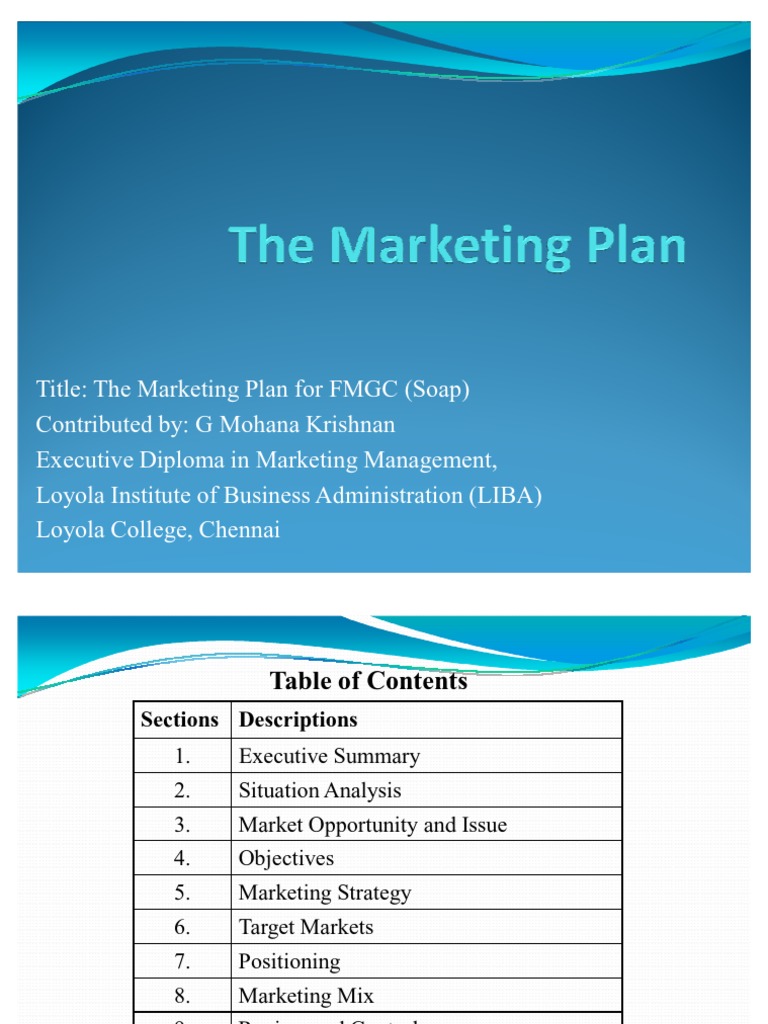A Marketing Plan For FMCG (Soap) | PDF | Brand | Business Economics