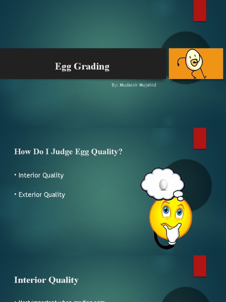 An In-Depth Guide to Egg Grading Based on Interior and Exterior Quality ...