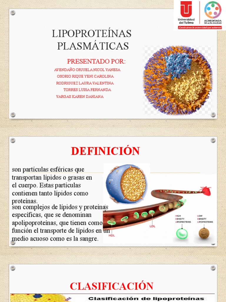 Presentacion Lipoproteinas | PDF | Lipoproteína | Biomoléculas