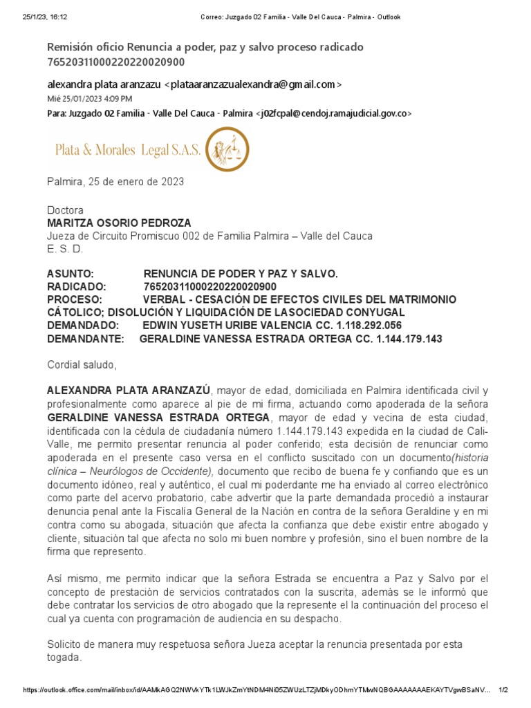 2022 209 Divorcio Renuncia A Poder Nelsy | PDF | Justicia | Crimen y ...