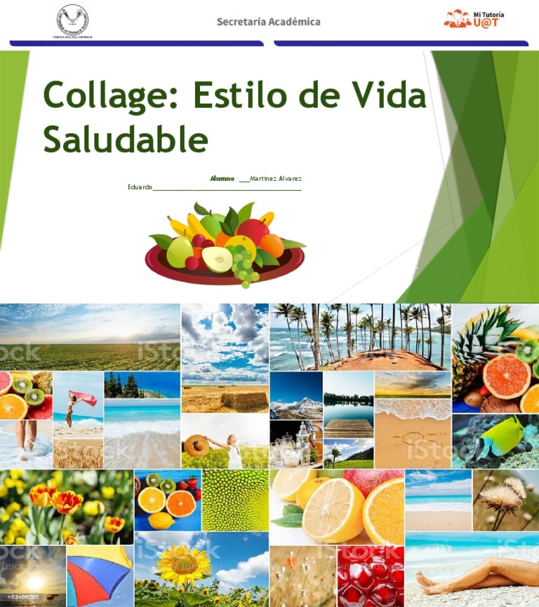 Collage de Estilo de Vida Saludable | PDF