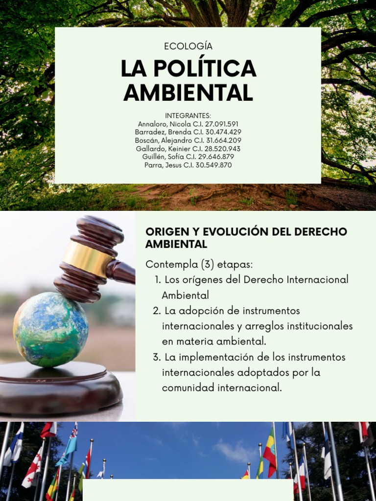 Unidad Iv. La Política Ambiental | PDF | Sustentabilidad | Entorno natural