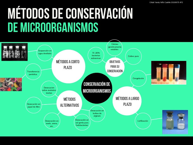 Mapa Mental de Los Métodos de Conservación de Microorganismo - 4F2 - 20100075 - Citlali Niño | PDF