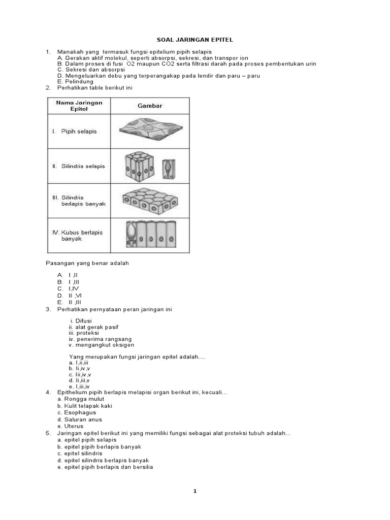 Latihan Soal Jaringan Epitel | PDF
